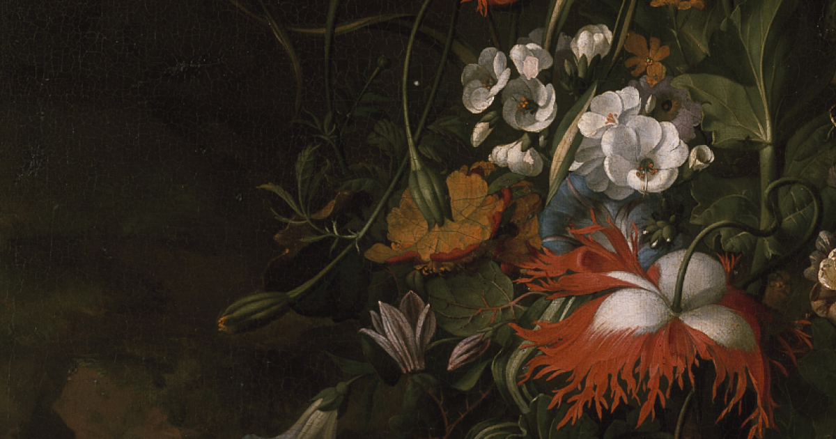 I see his blood upon the rose | The MAC Belfast